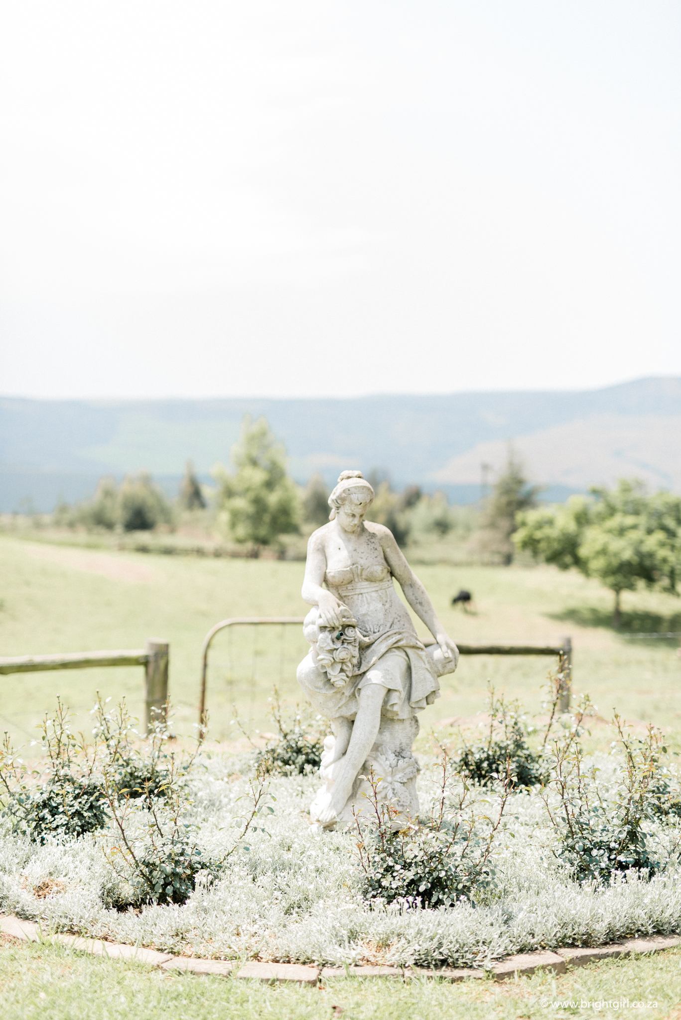 Party Venue - Weltevreden Manor